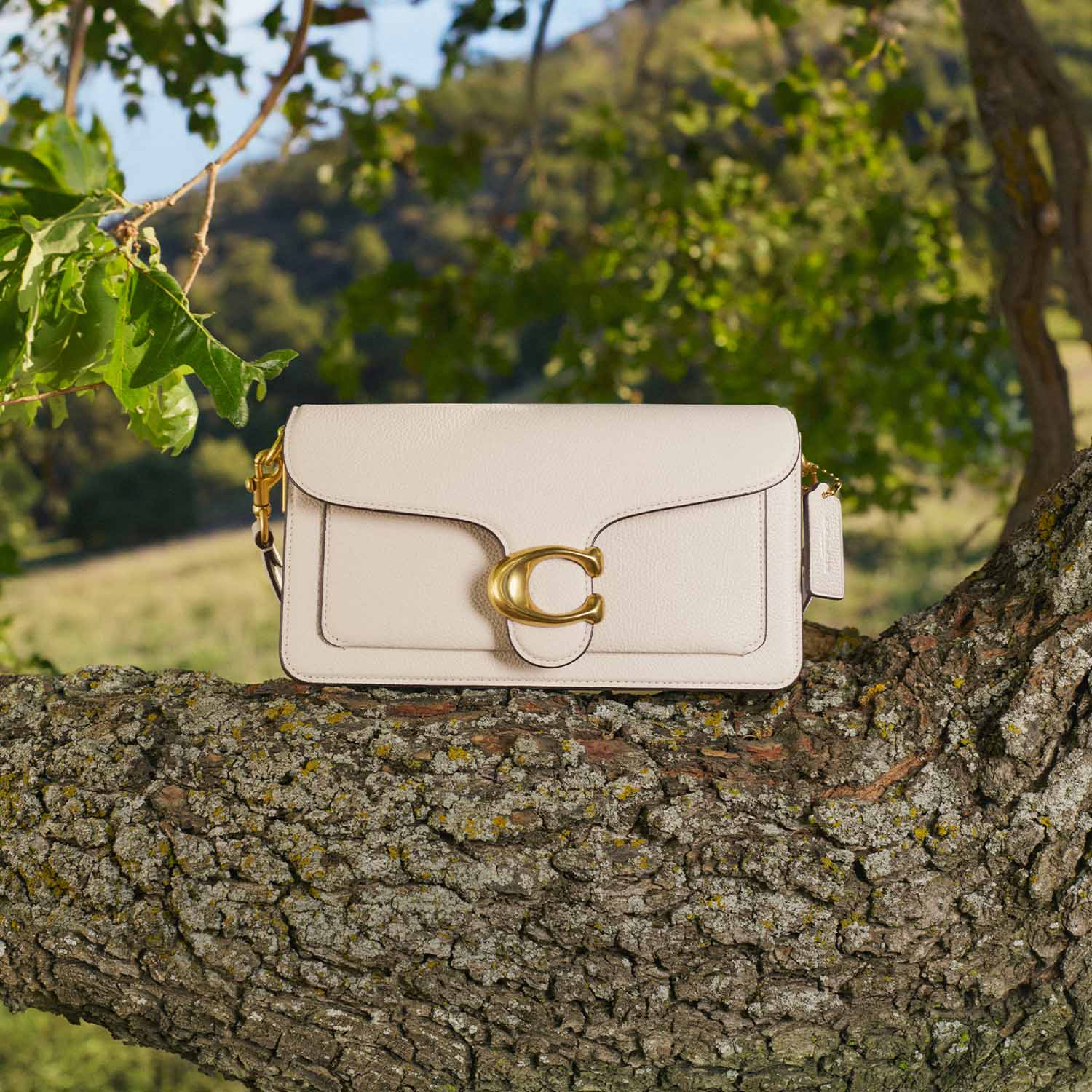 Coach Bags | Iconic luxury design - shop online – WARDOW